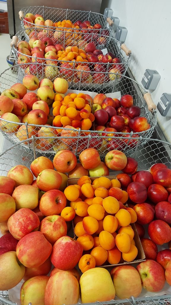Livraison corbeilles de fruits - Les paniers de la cueillette d'Octeville