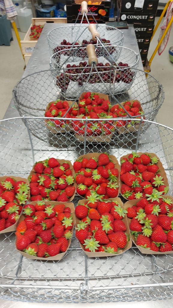 Livraison corbeilles de fruits - Les paniers de la cueillette d'Octeville